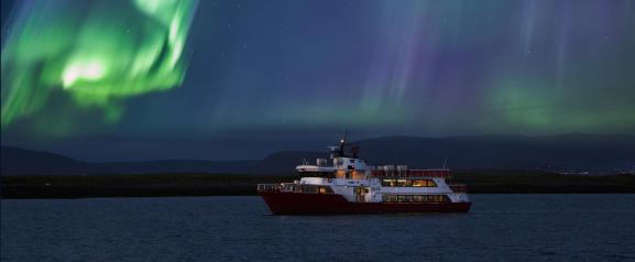 Elding Adventure at Sea - Iceland Whale Watching